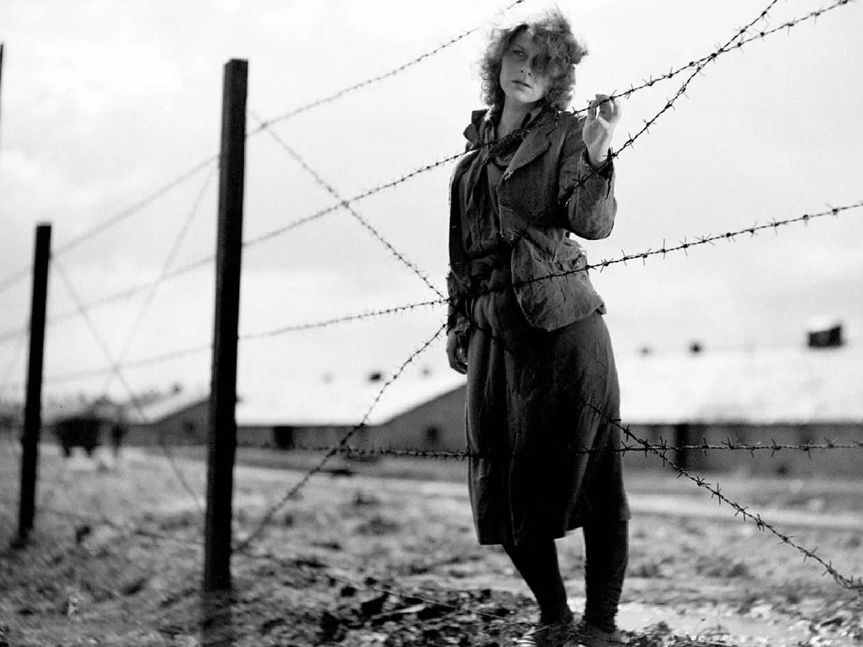 241216_AI_TheLastStage_IHRDP_1260x944 | Void Network